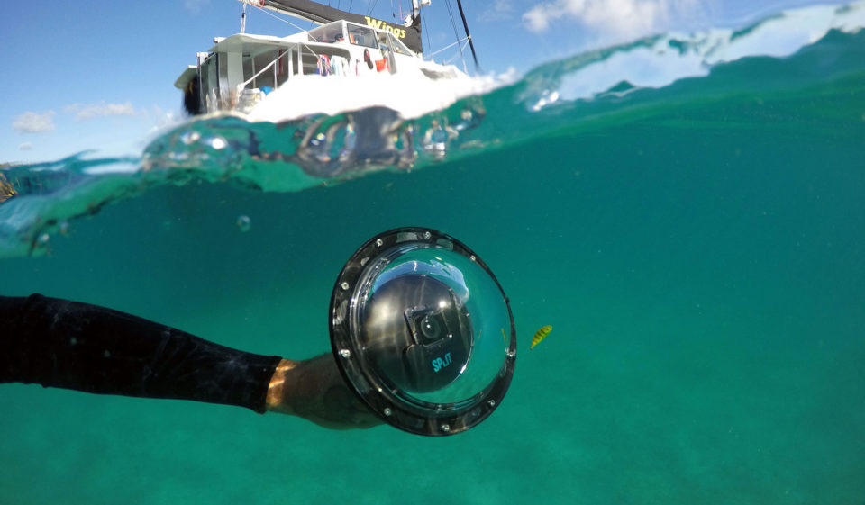 gopro-dome-underwater-with-fish – Split GoPro Dome Port for Hero Cameras